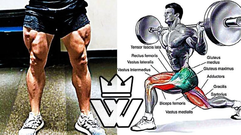 Los 10 Mejores Ejercicios para Piernas - Evophysique